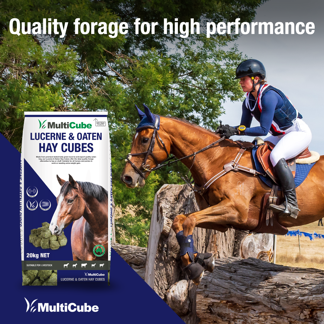 MultiCube Stockfeeds